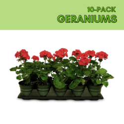 Little Prairie Elementary